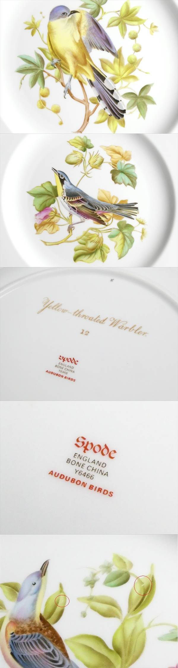 日本代購代標第一品牌【樂淘letao】－n181 Spode スポード オーデュボン バード 鳥絵 ① 絵変り プレート 大皿 27cm 12枚